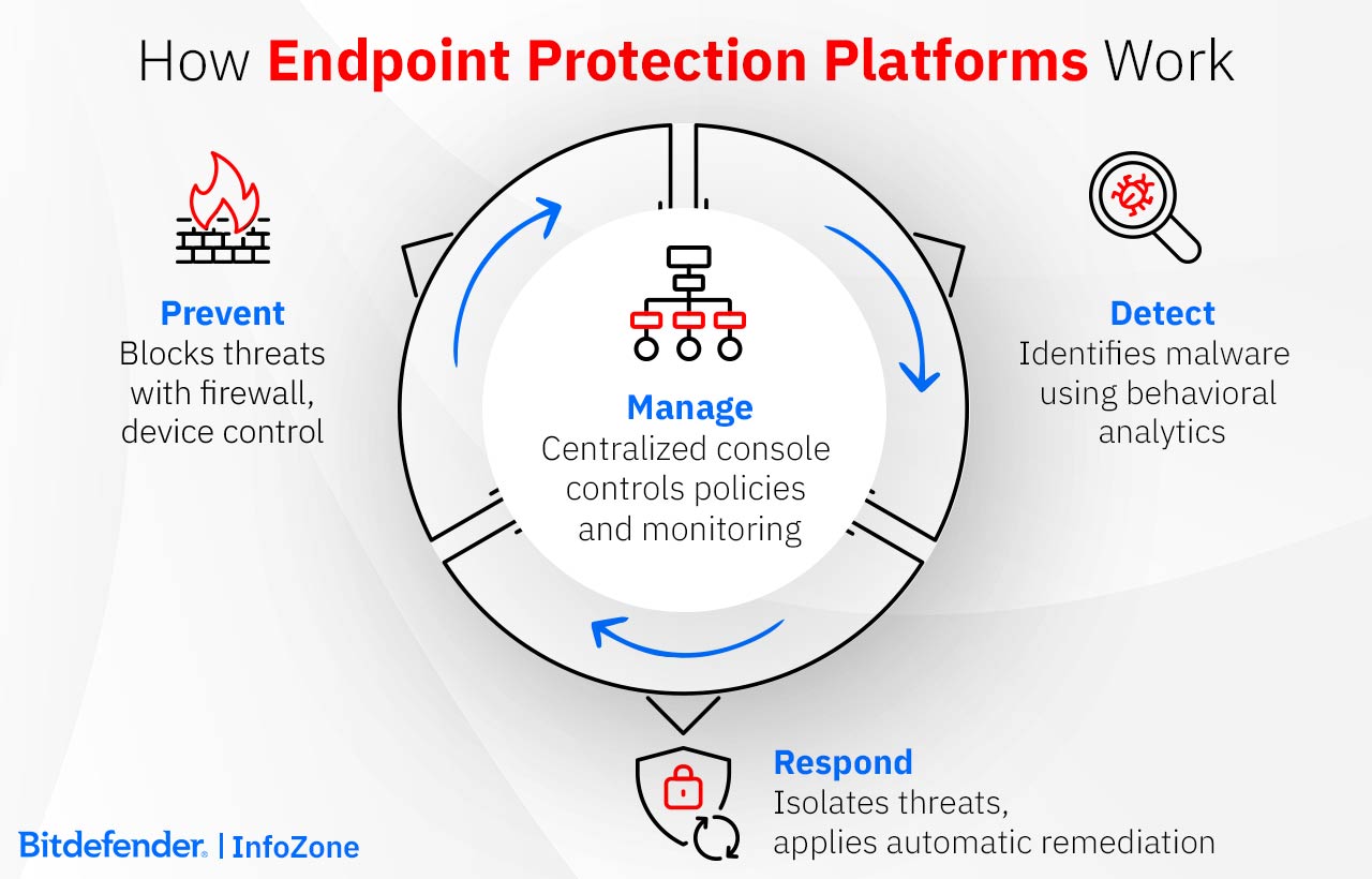What is EPP (Endpoint Protection Platform)? - InfoZone