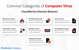 What is a Computer Virus - Bitdefender InfoZone