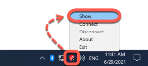 Bitdefender VPN for Windows: Connection, Settings, Subscriptions